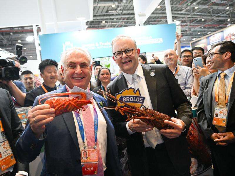 China agrees to drop Australia live lobster ban | Country News