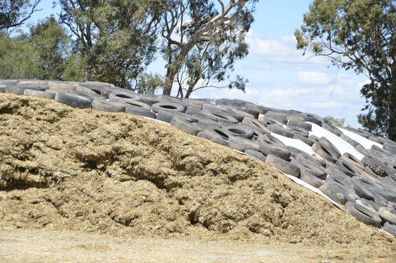 Silage stack tyres aren't going anywhere: EPA | Country News
