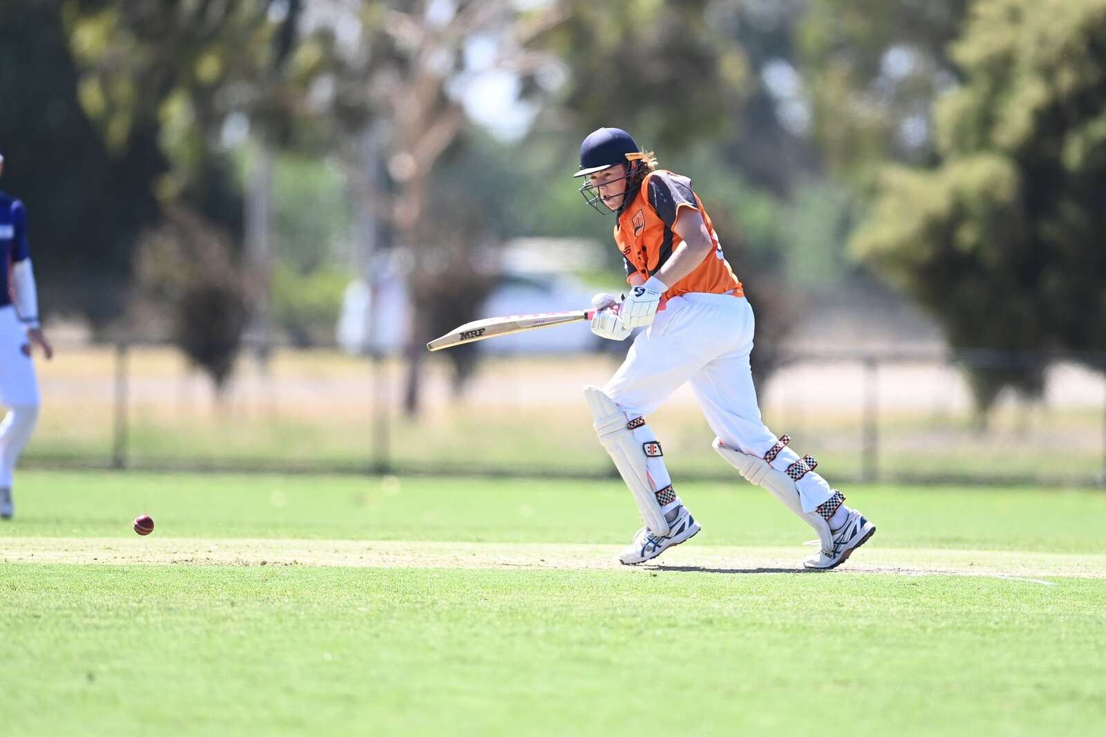 Goulburn Murray and Southern Riverina confirm cricket affiliation ...