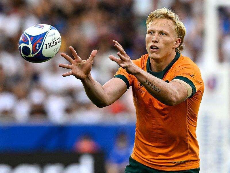 Former Wallabies star Gordon signs with Titans for 2024 | Benalla Ensign