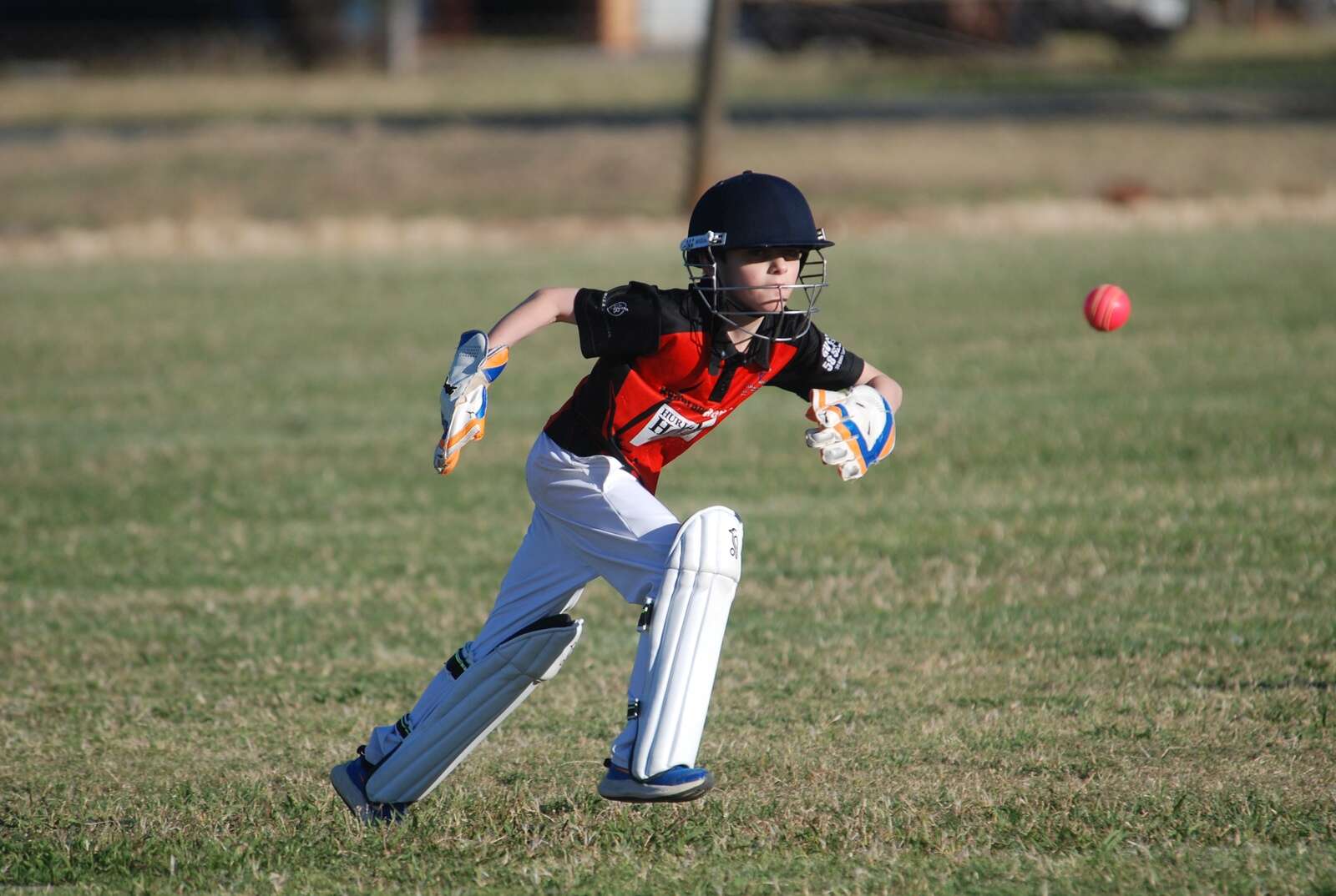 Red and White making waves in junior cricket | Kyabram Free Press