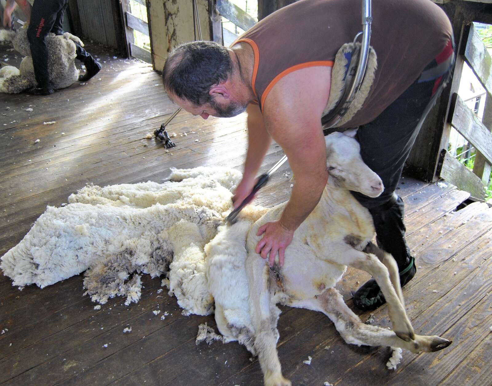 Remembering Viet vets | Riverine Herald