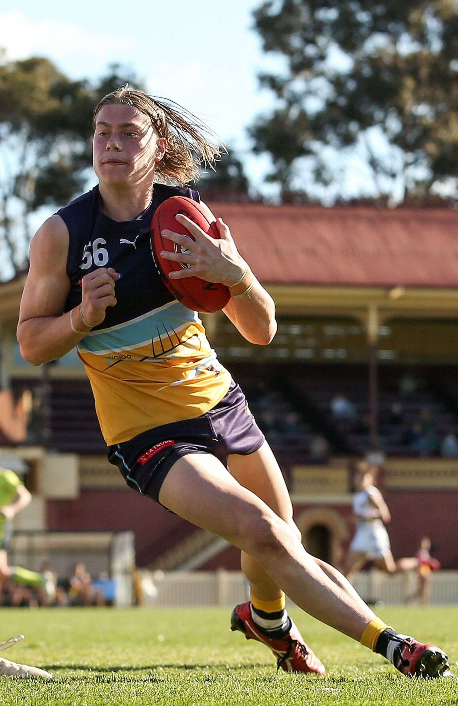 Reid named Bendigo Pioneers captain | Shepparton News