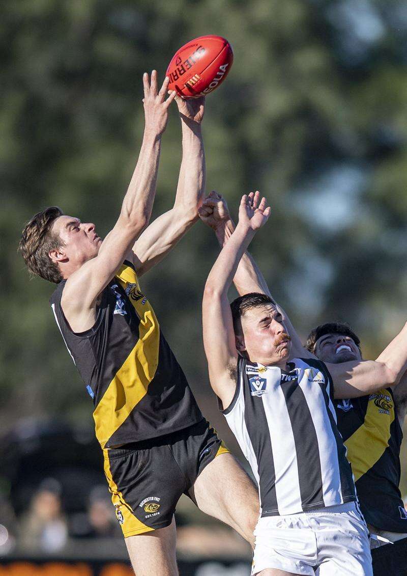 Tiger great James Gledhill in top form | Shepparton News