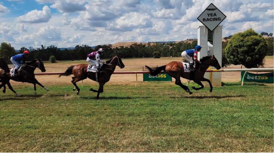Picnic races will draw a crowd at Yea Racing | Seymour Telegraph