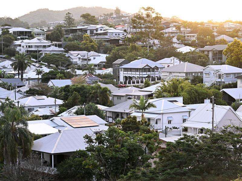 Independent MPs push to make housing a human right | Country News