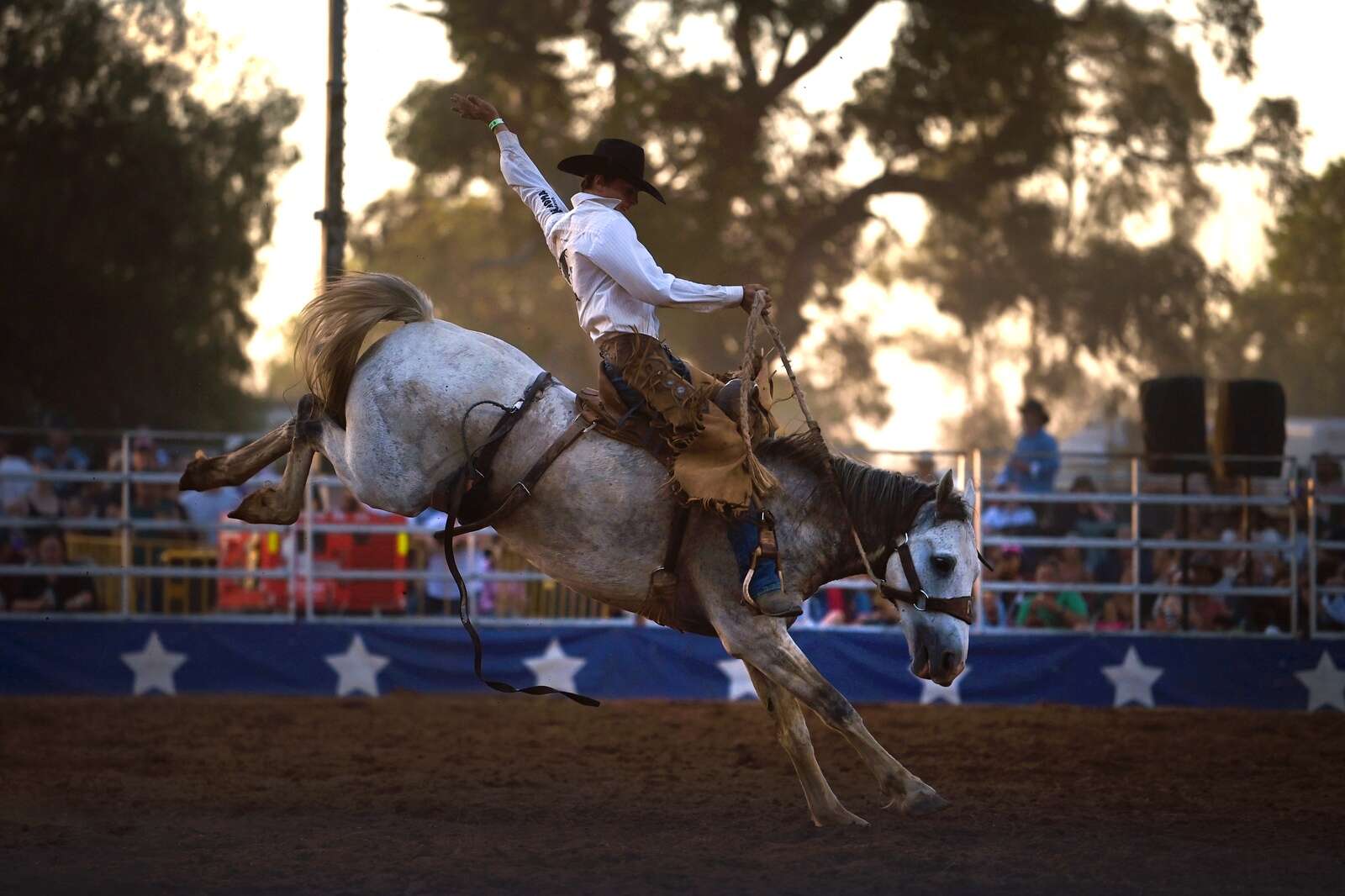 Hard riding at Katamatite | Country News