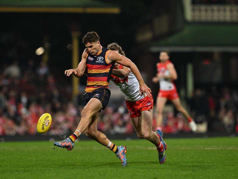 Crows duo Keays, Rachele no studs in eyes of AFL | Cobram Courier