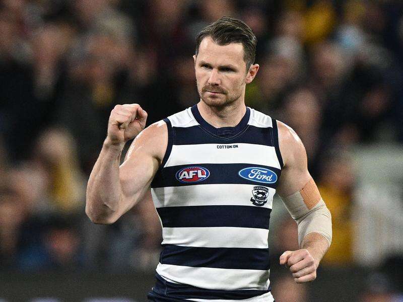 Penpix of Geelong's AFL grand final team | Country News