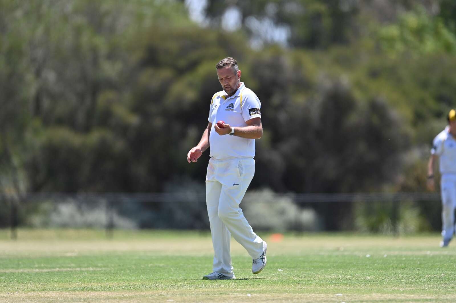‘A one-man show today’: Wild Tiger ‘Rum’ puts Tatura on ice | Seymour ...