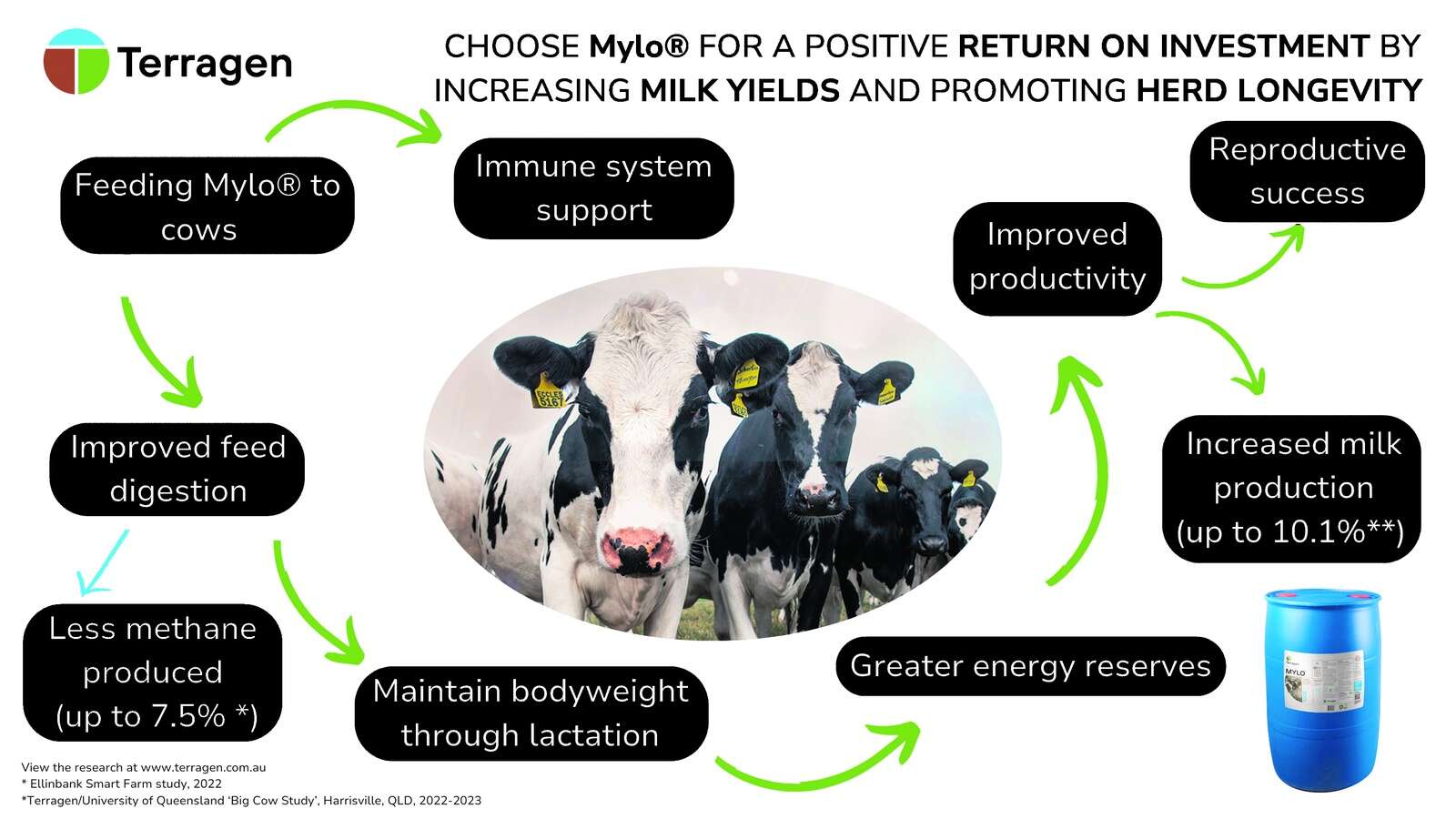 Stockfeeds feature | Improving cow productivity | Seymour Telegraph