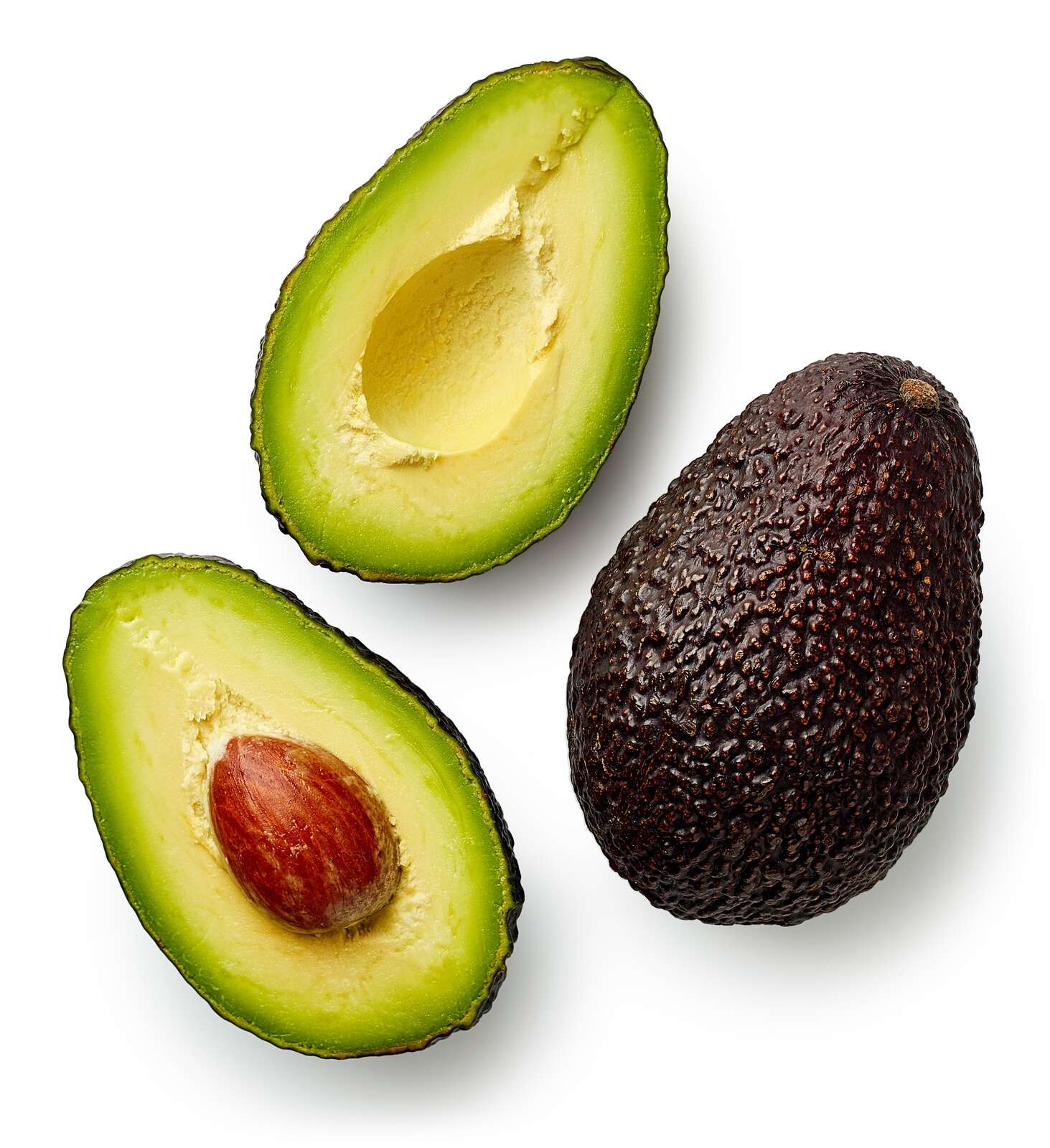 Avocado industry deepens collaboration for record export growth ...