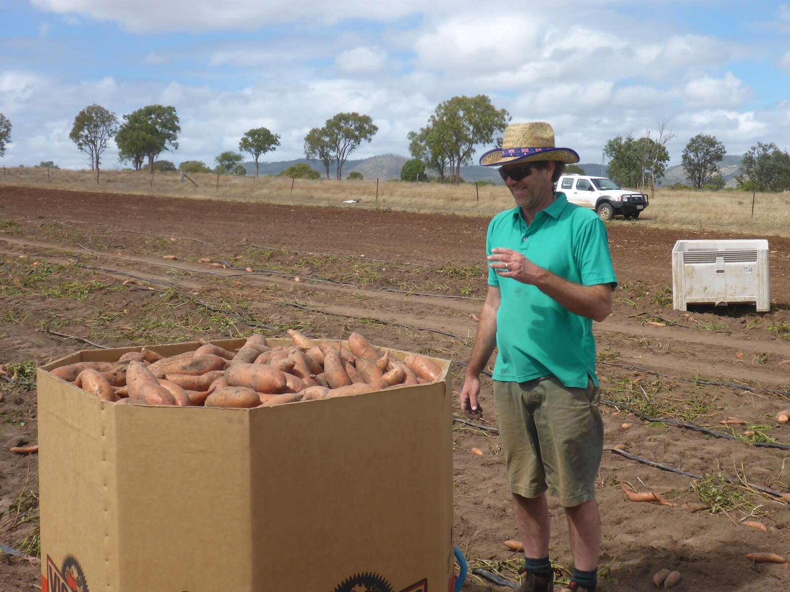 When shape and size really do matter | Dairy News Australia