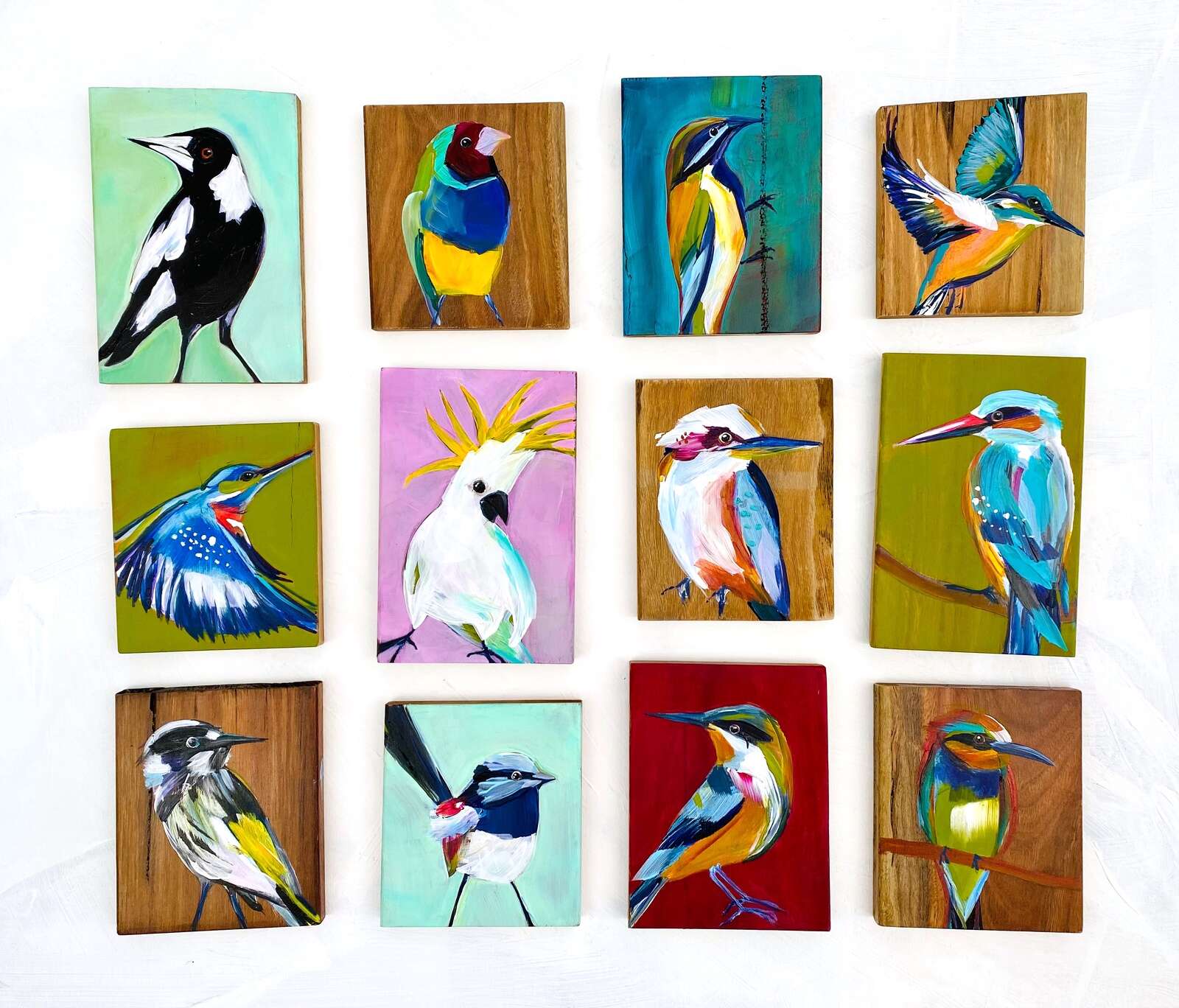 Brooke Whelan’s im-peck-able bird exhibition heads to Benalla Art ...
