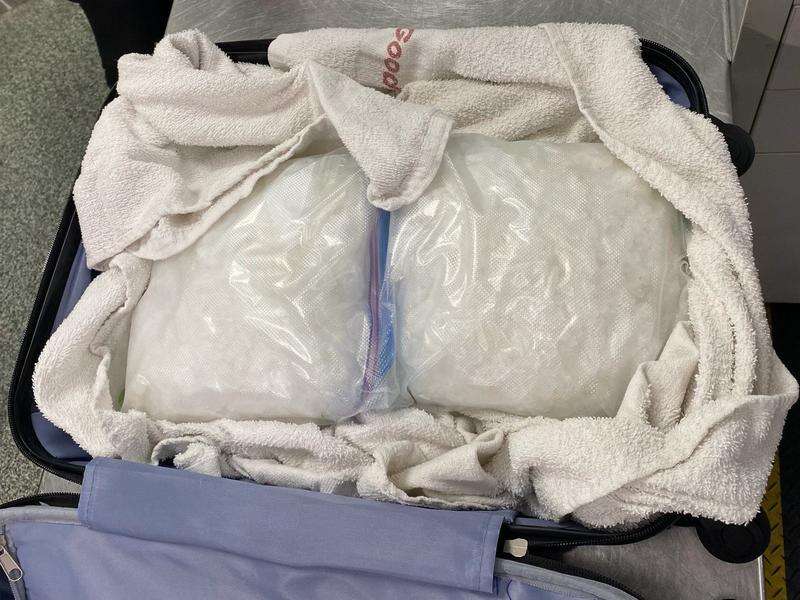 Airport sniffer dog detects meth haul worth millions | Country News