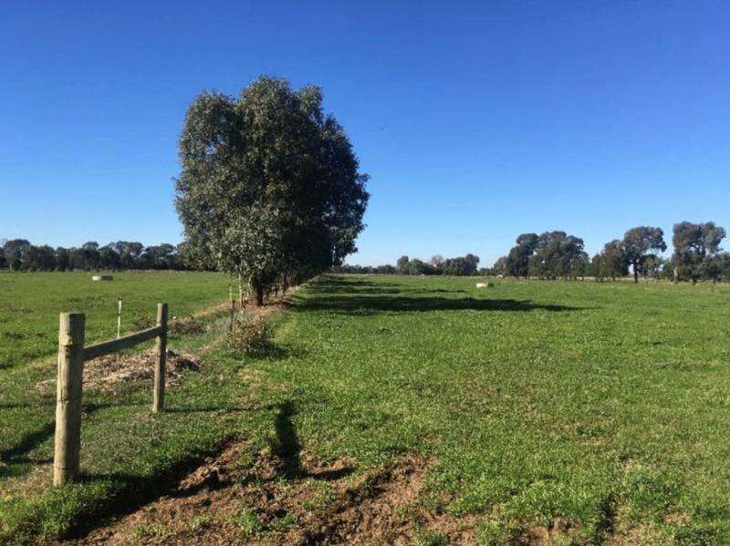 Ready to start work on $2 billion project at Katunga | Country News