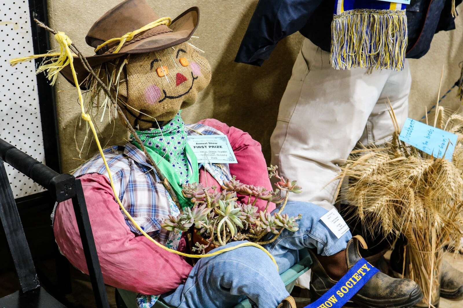 Finley Show pavilion results: | Southern Riverina News