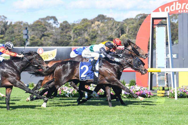So Si Bon delivers for Lindsay Park | Shepparton News