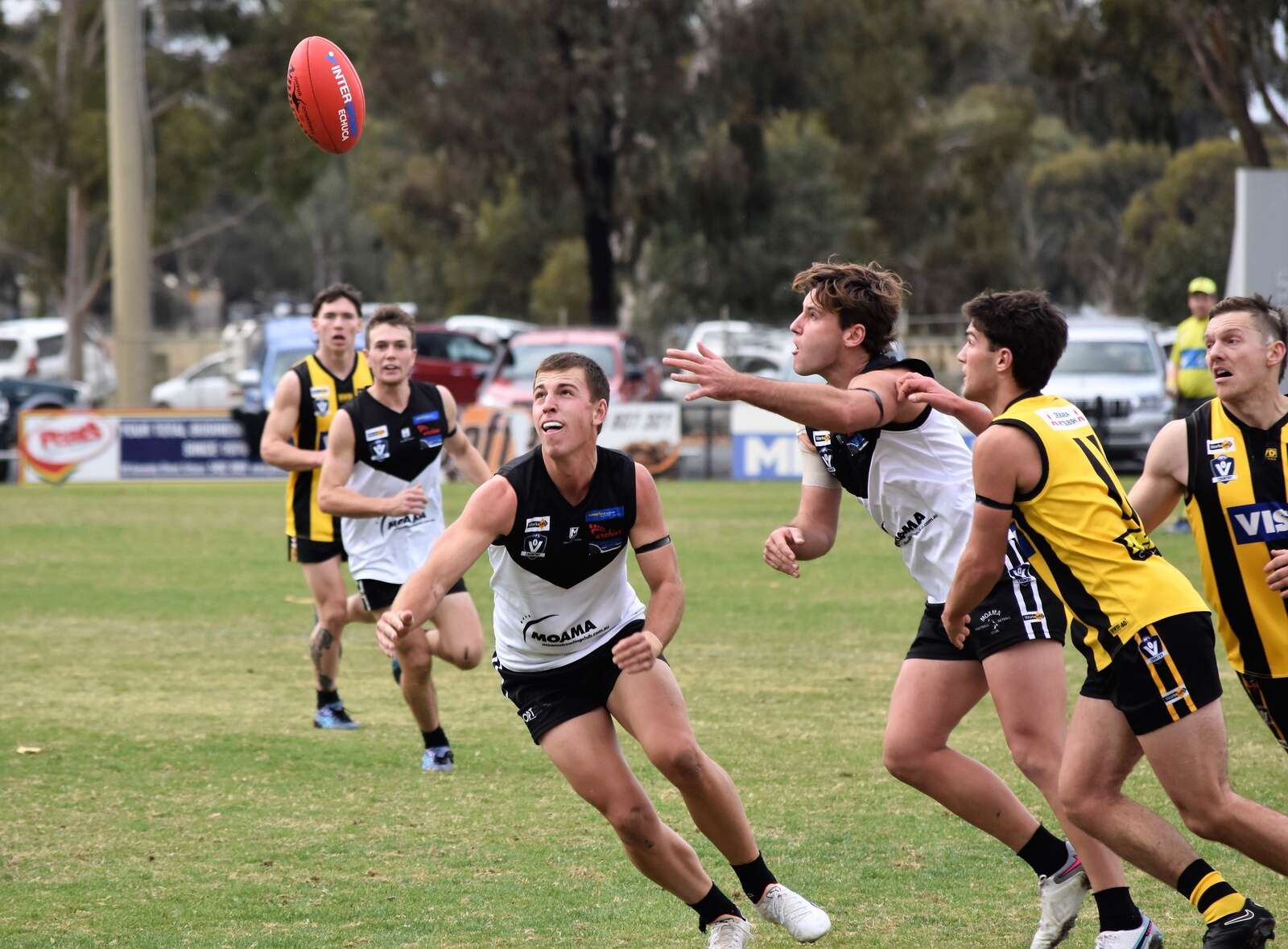 Moama rebounds to take down Tigers | Shepparton News