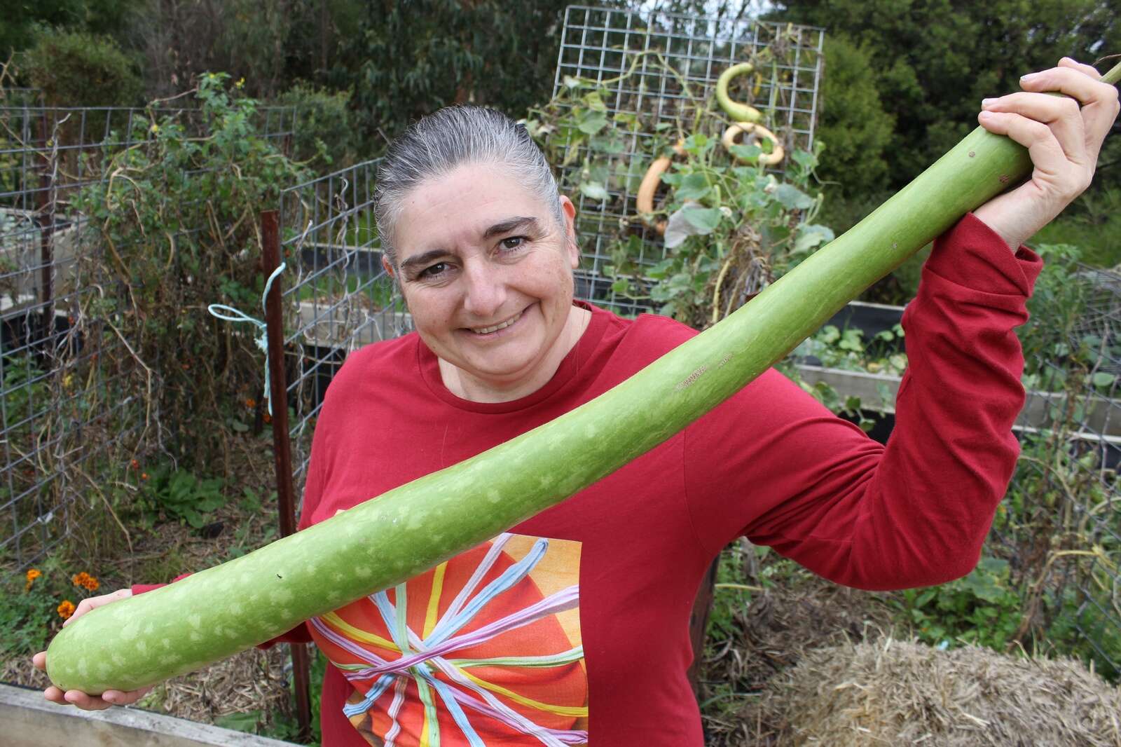 Jaci grows an Italian gourd | Country News