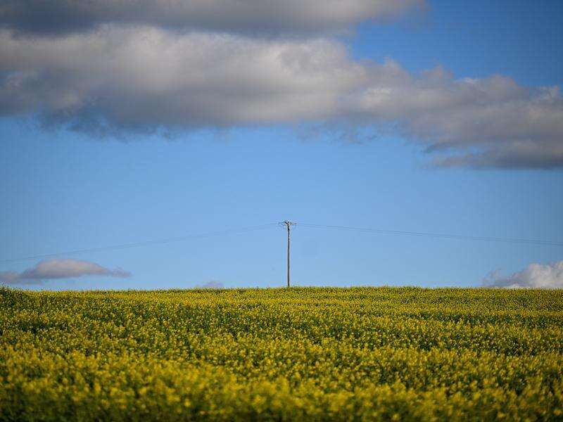CopperString project blowout sparks council concern | Shepparton News