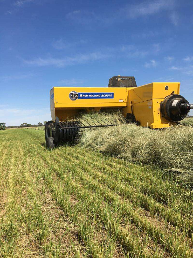 Square baler marks a 75-year milestone | Country News