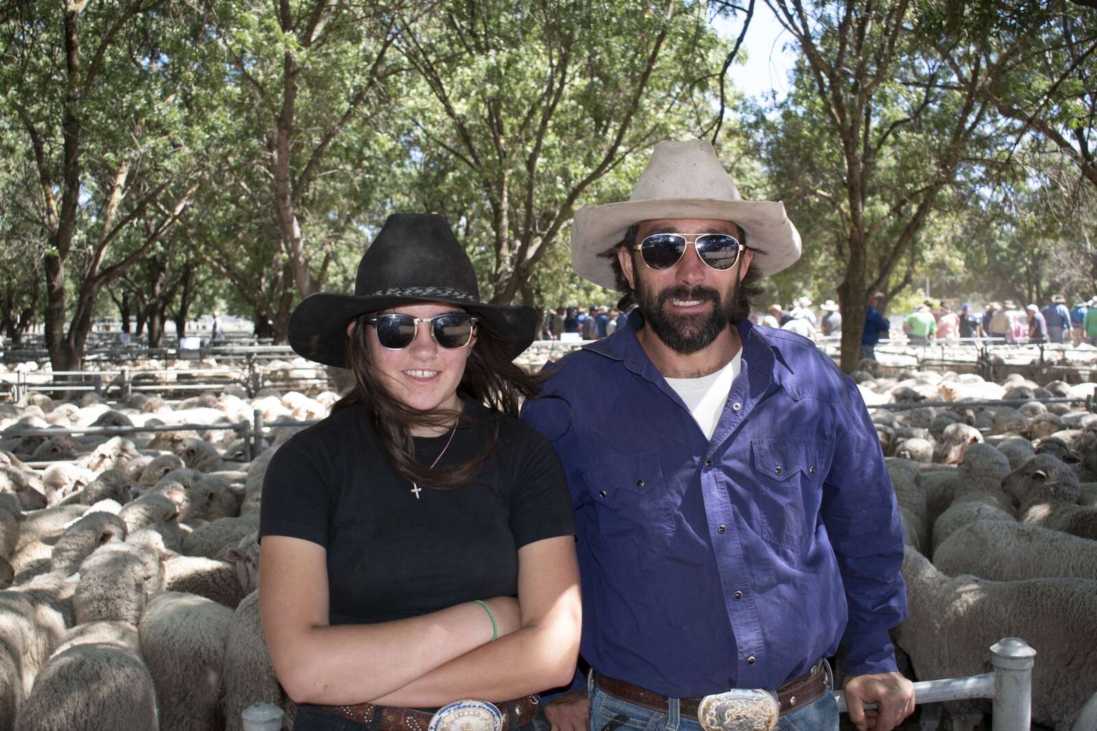 Great conditions at saleyards | Dairy News Australia