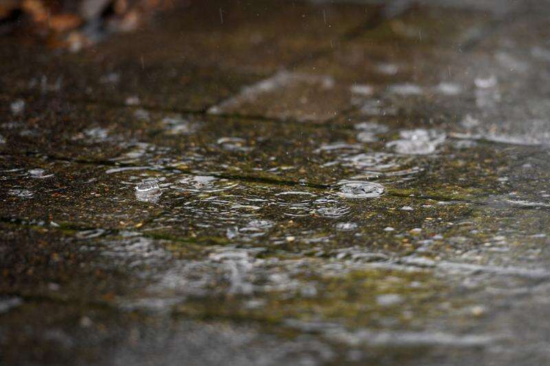 Wet weather event still likely | Shepparton News