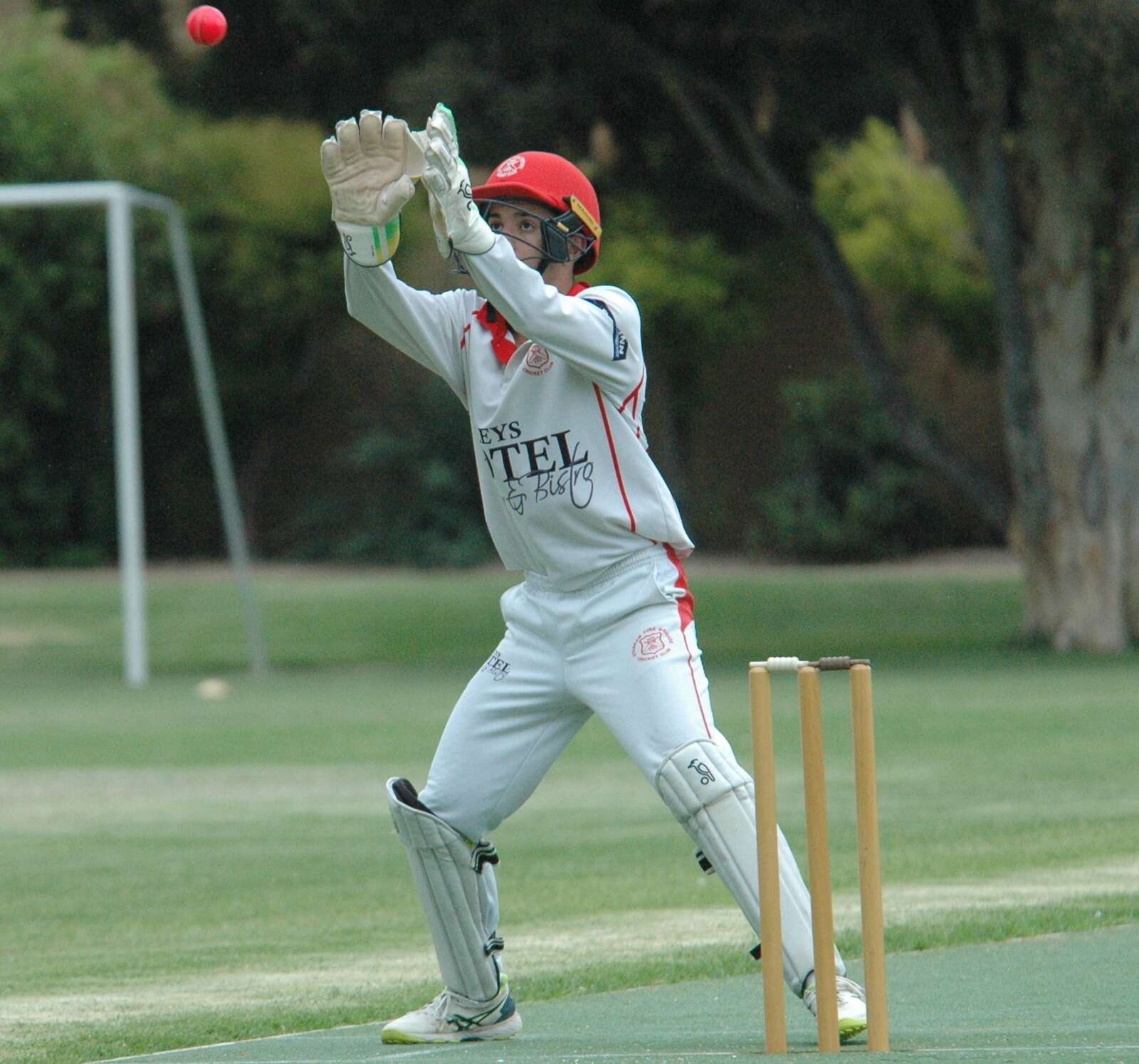 Redback Rhys smashes 90 in juniors | Kyabram Free Press