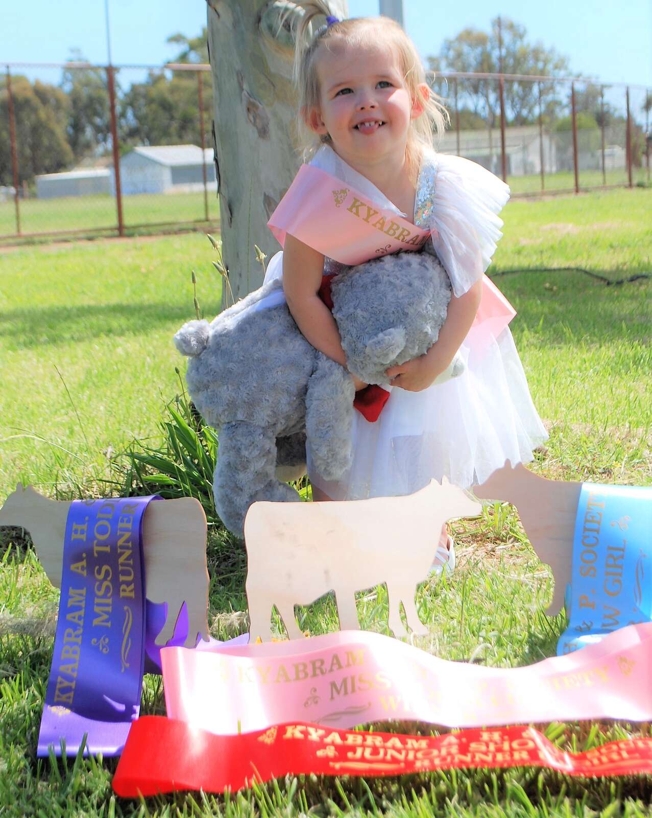 Kyabram show replaced with family day | Dairy News Australia