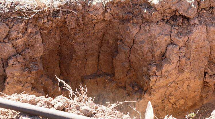 Victorian soil profiles drying out | Dairy News Australia