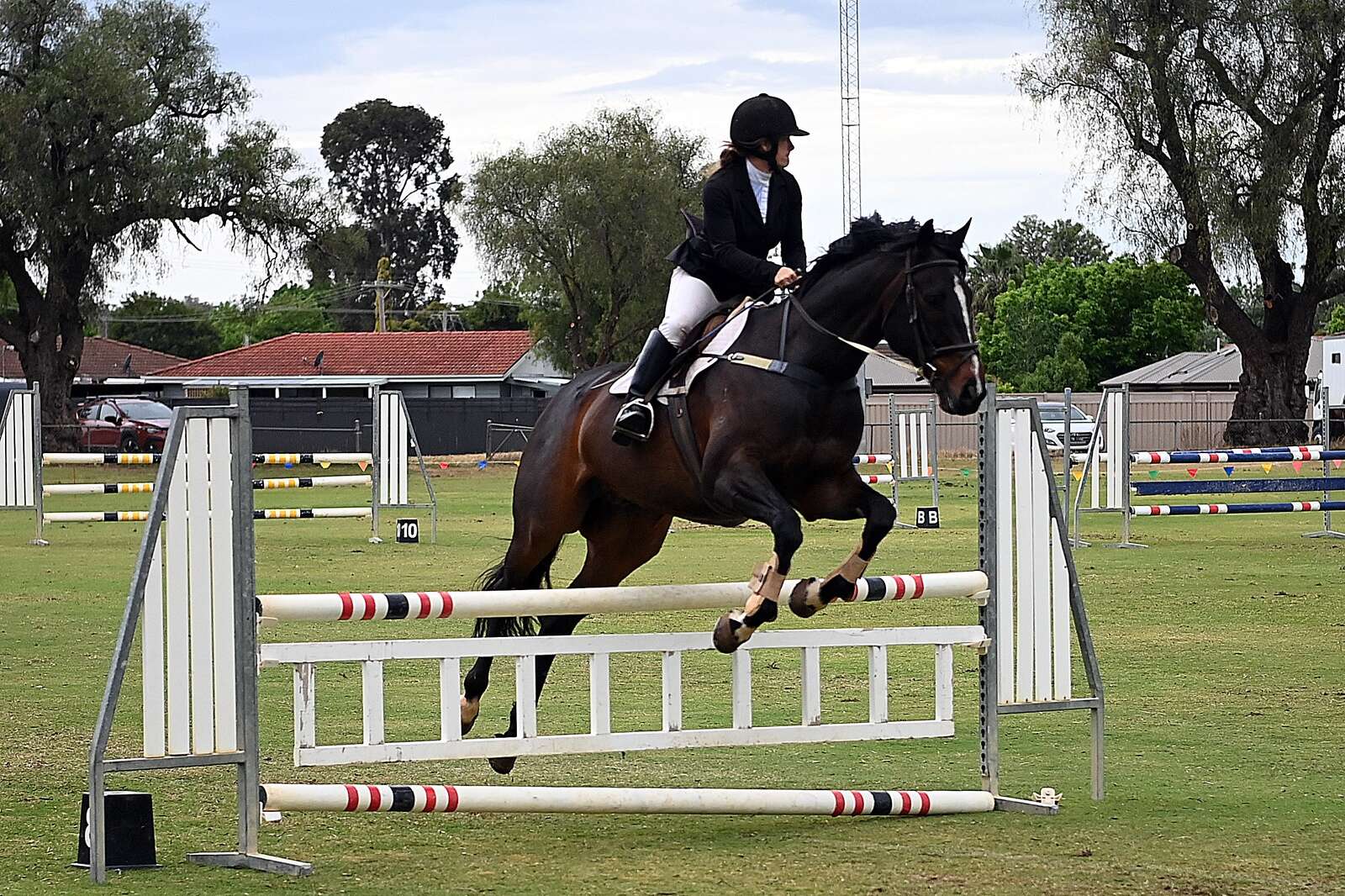 Cobram Agricultural Show a hit | Kyabram Free Press