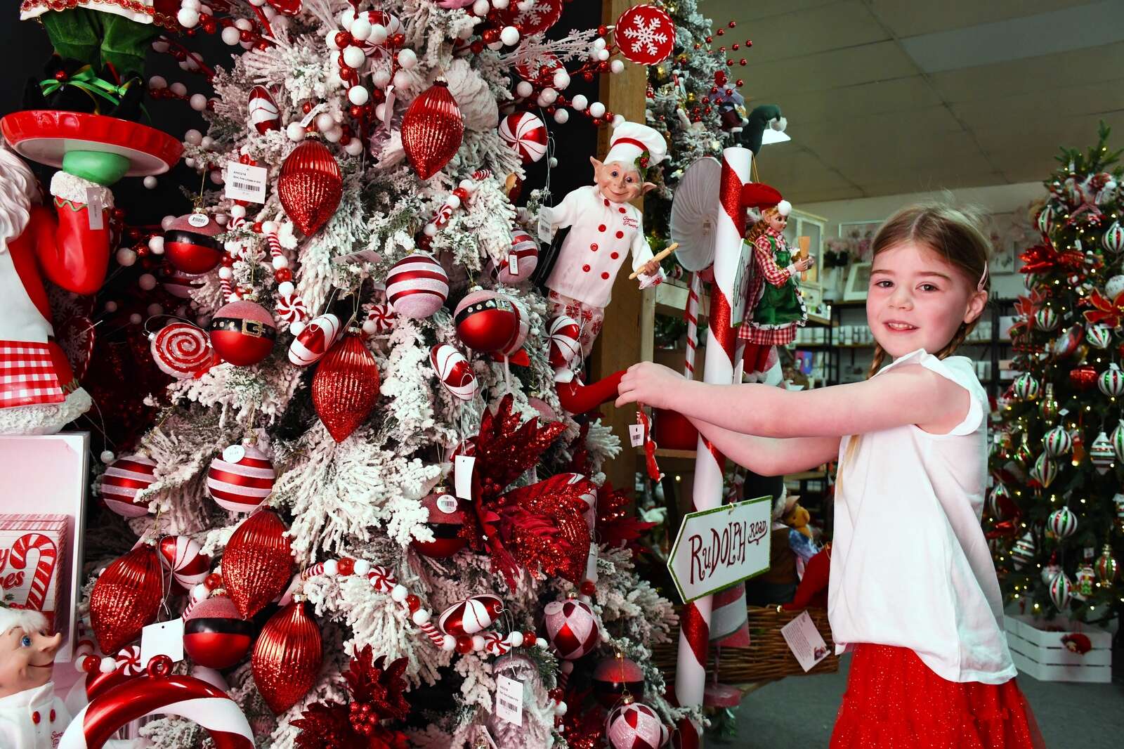 Make a tree sparkle | Seymour Telegraph