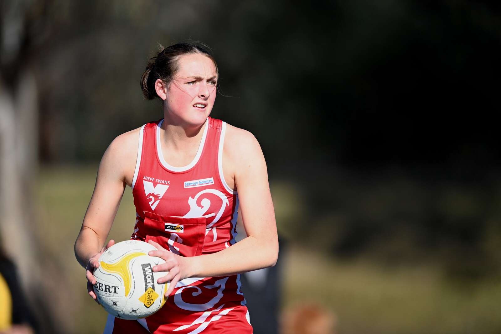 Shepparton Swans gun struck down by ACL injury | Shepparton News