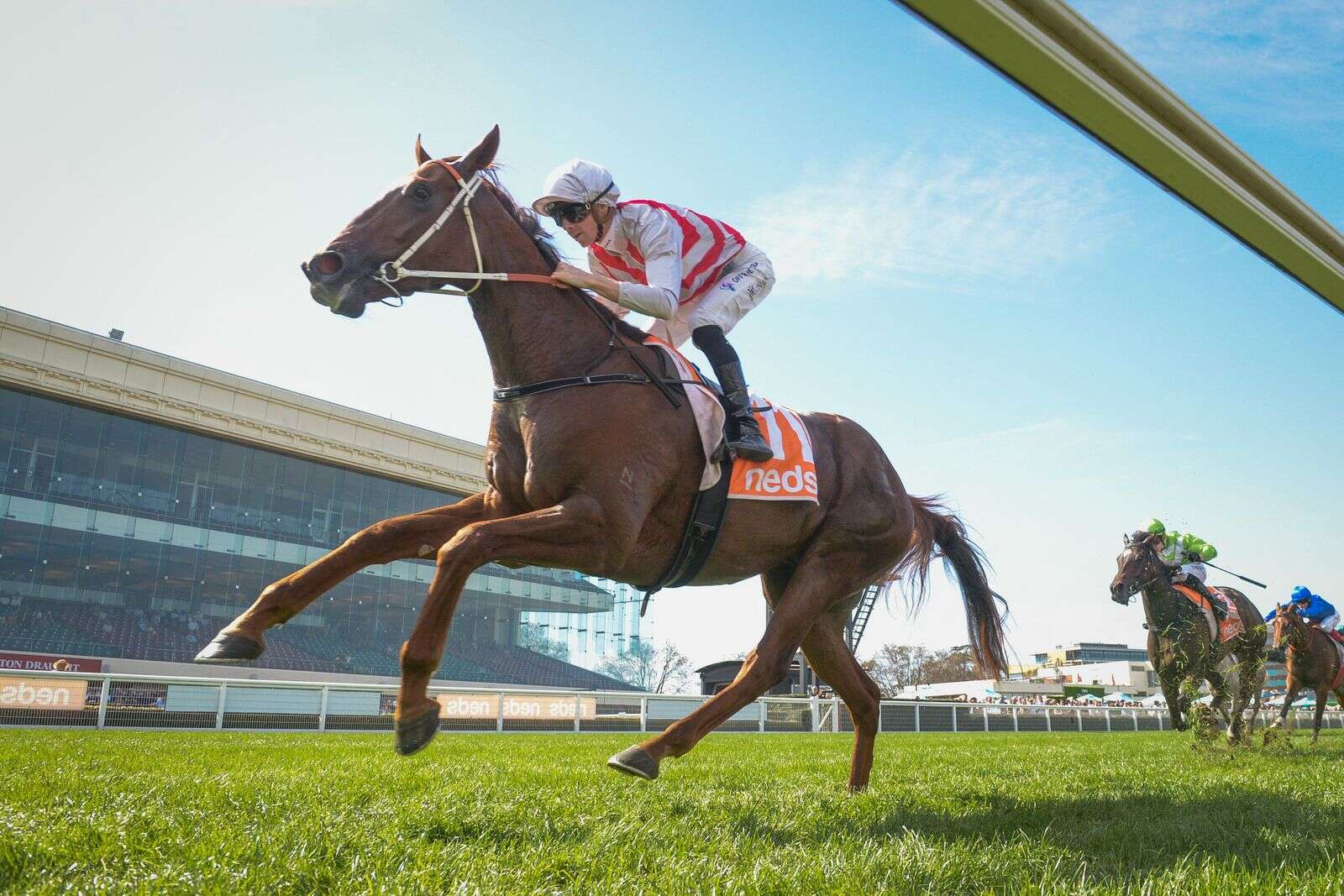 Payney’s Punt | Caulfield races preview | Shepparton News