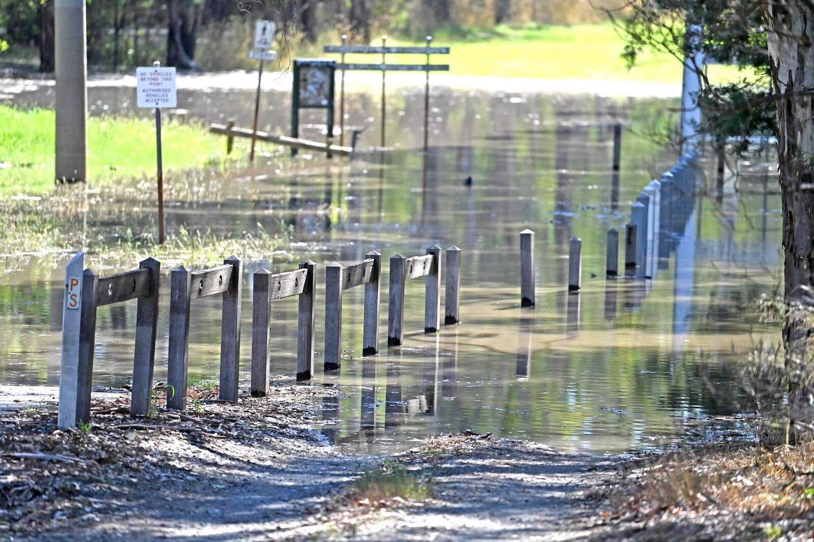 WATCH | Thursday, January 11’s flood footage in Shepparton | Shepparton ...