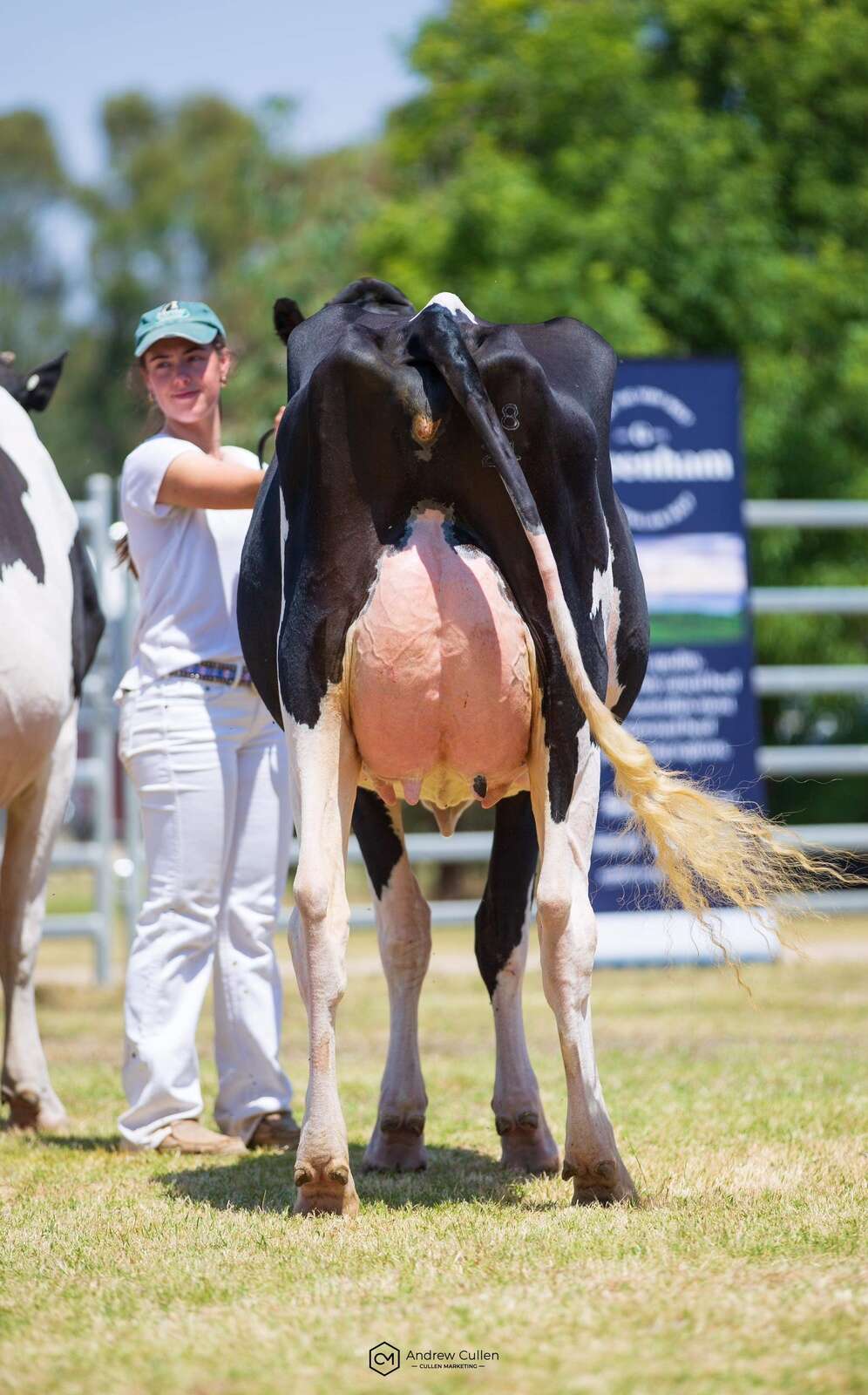 Show is a dream come true | Riverine Herald