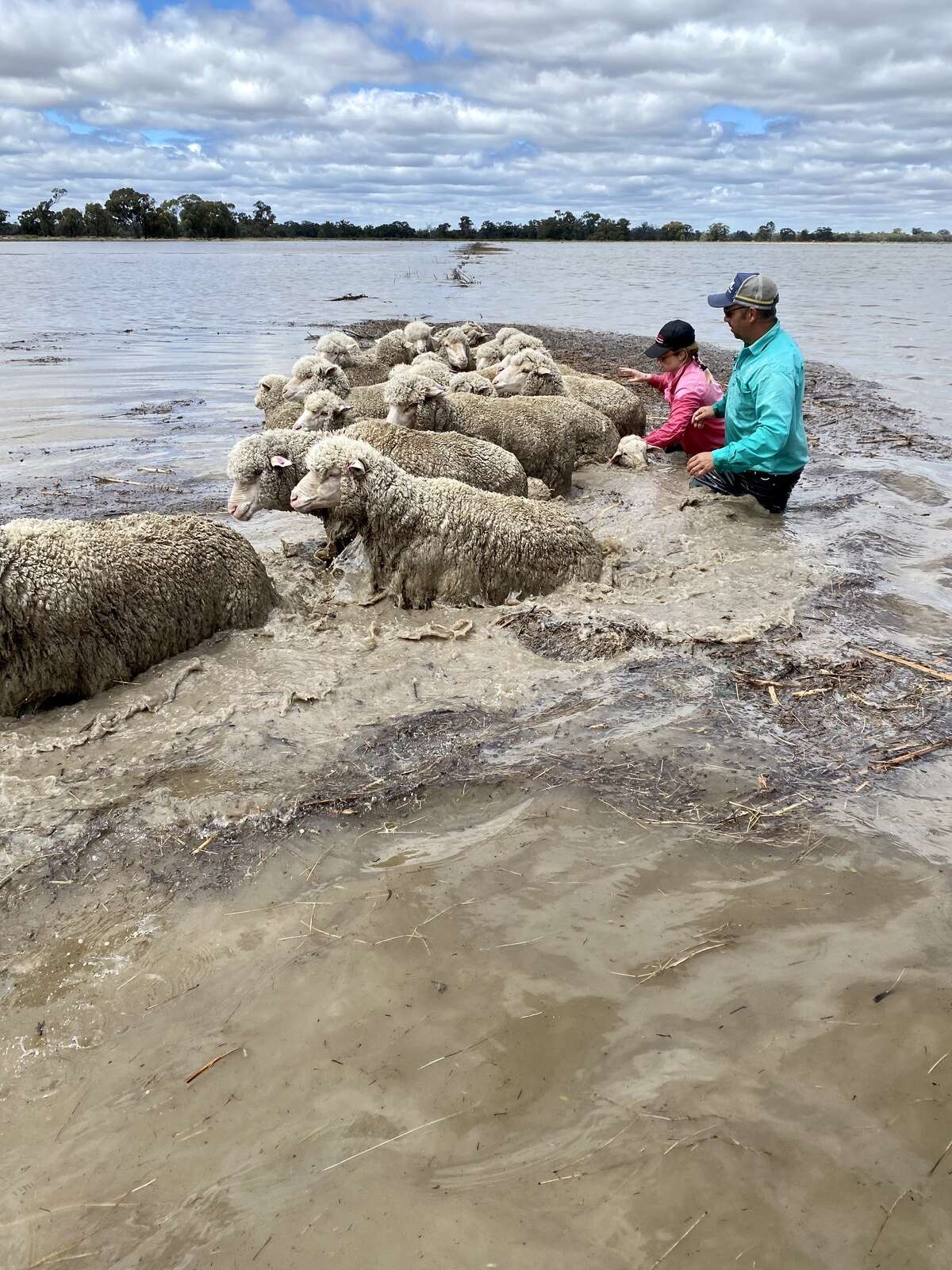 ‘Total and utter devastation’ on flood impacted Deni property | Corowa ...
