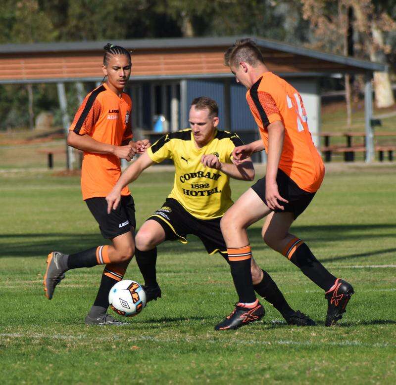 Cobram Roar appoints Bill Puckett as coach for 2021 season | Shepparton ...