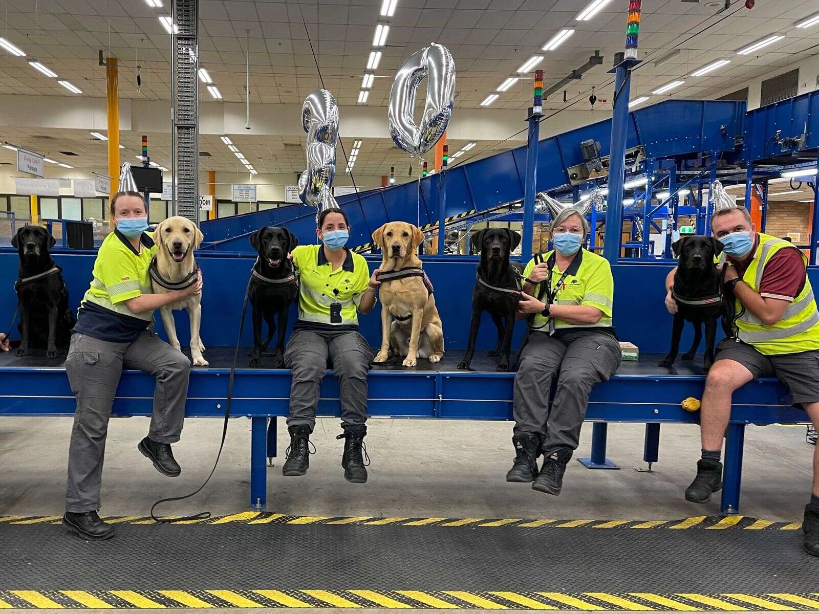 Considering a canine career? | Country News