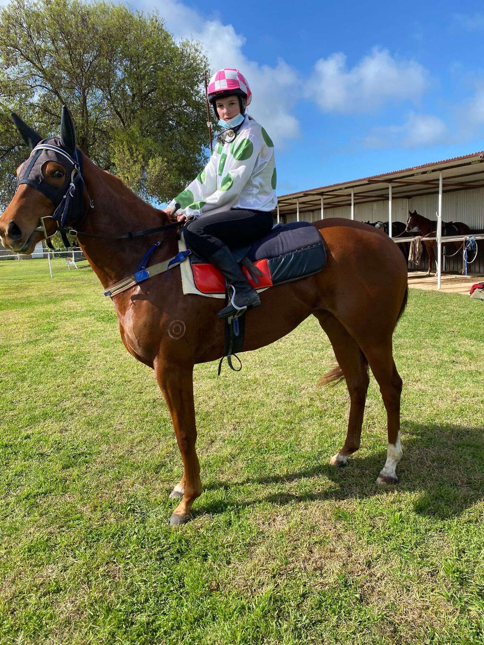 Hammond’s jockey dream set to begin | Shepparton News