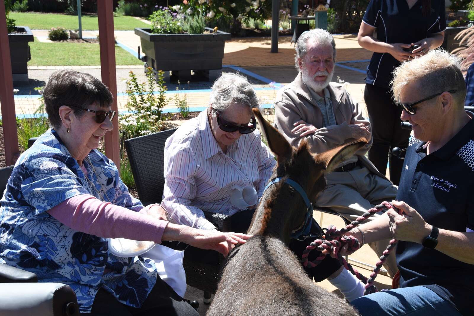 Donkey therapy for Cobram’s Irving House residents | Riverine Herald