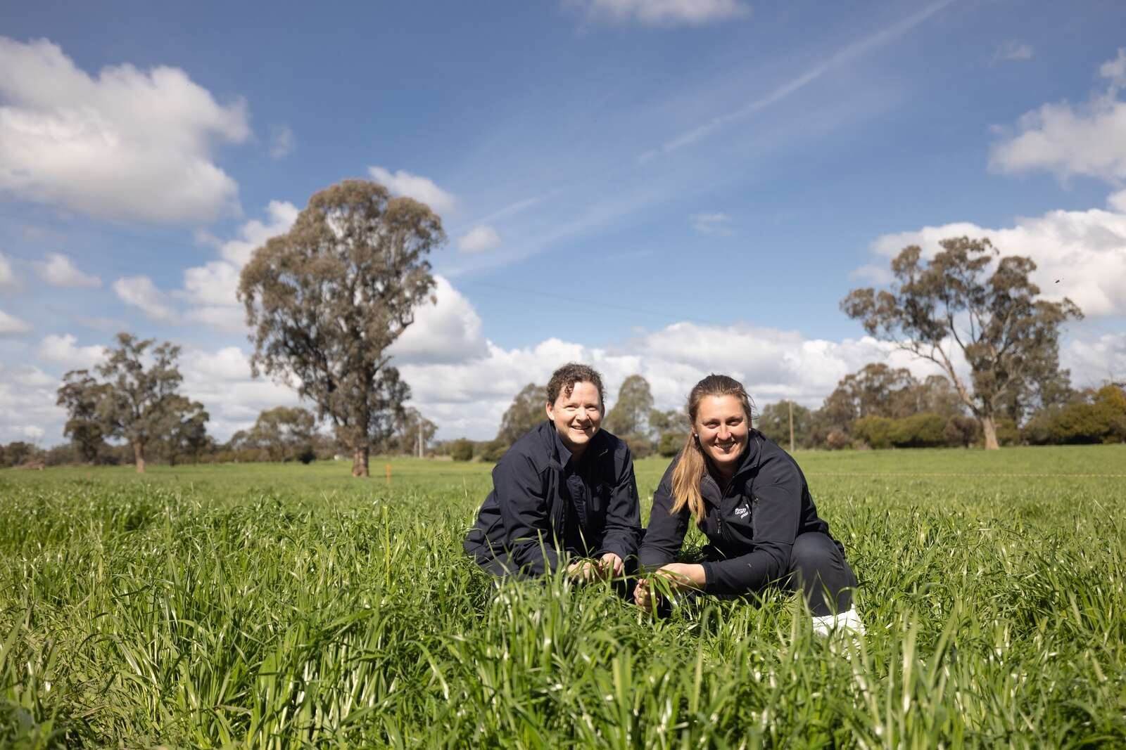 Project drives innovation | Shepparton News