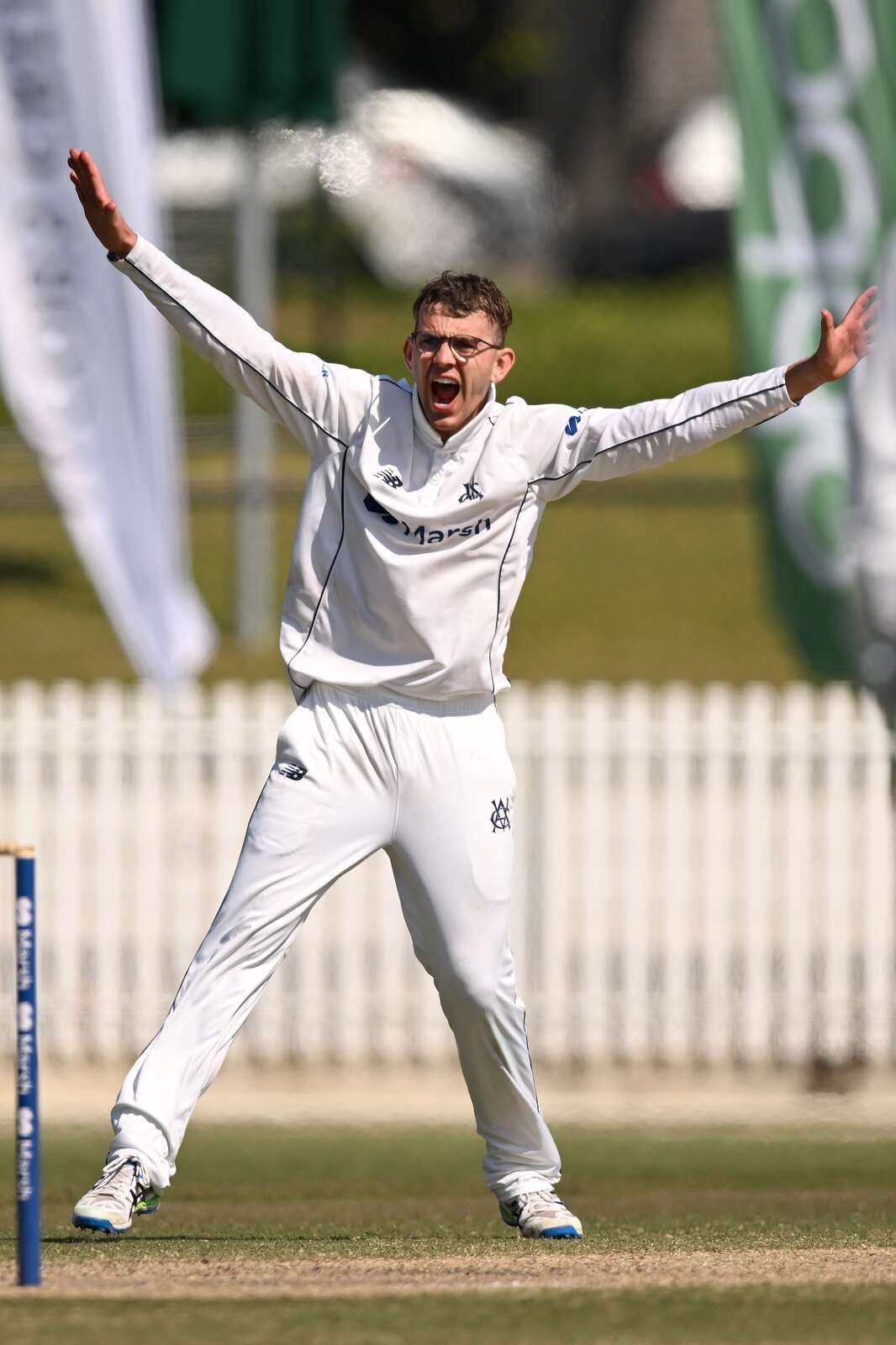 Murphy named in shield squad for Queensland clash | Country News