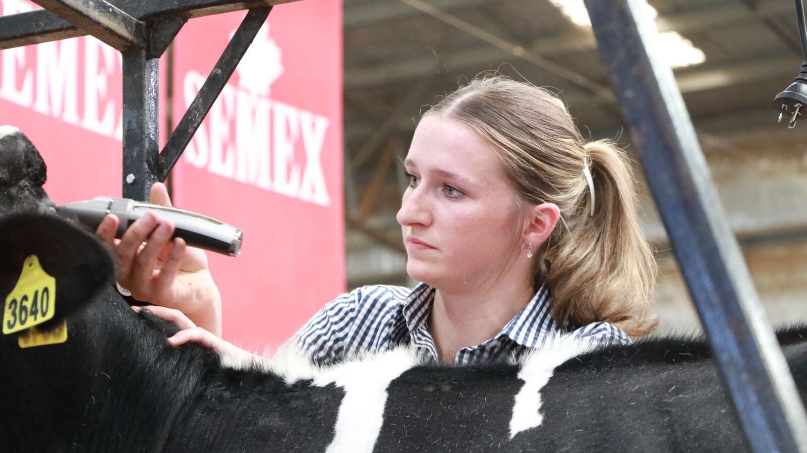 Youth lead the way at dairy week | Country News