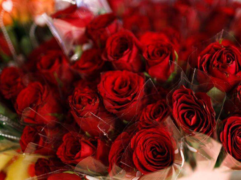 Florist accused of misleading customers | Kyabram Free Press