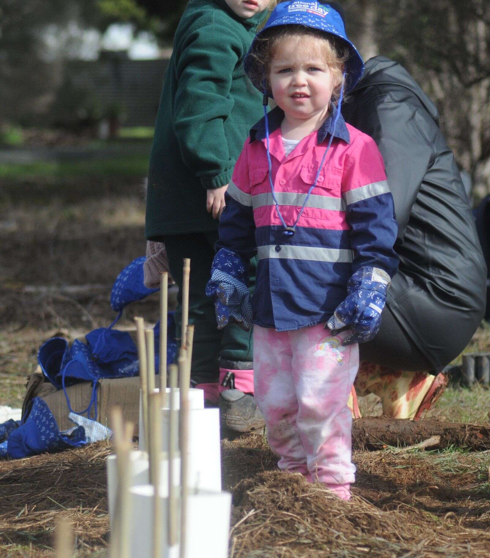 Nanneella National Tree Day | Riverine Herald