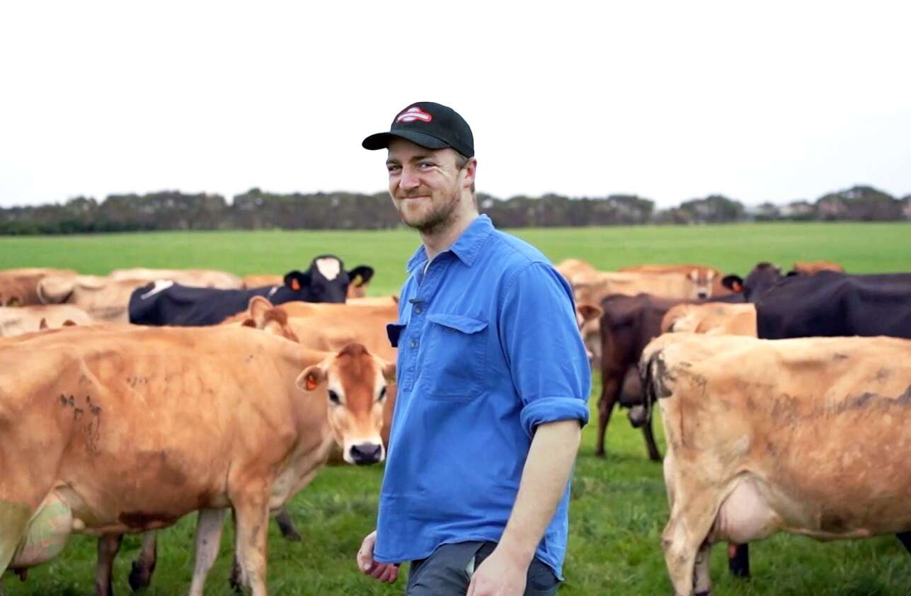 Simplifying herd management | Dairy News Australia