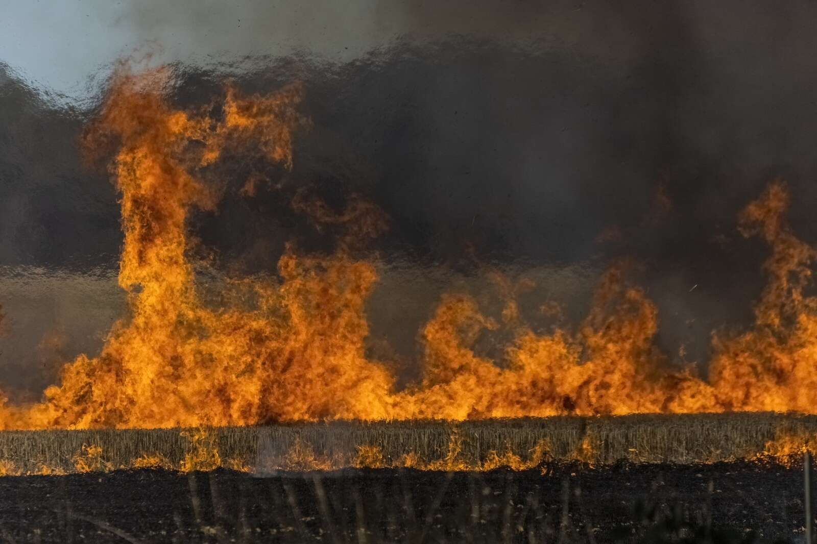 Apply now for burning permits | Country News