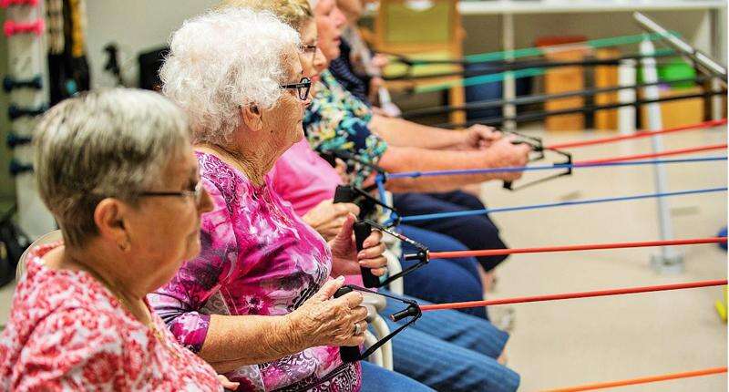 Harness exercise and change your life | Shepparton News